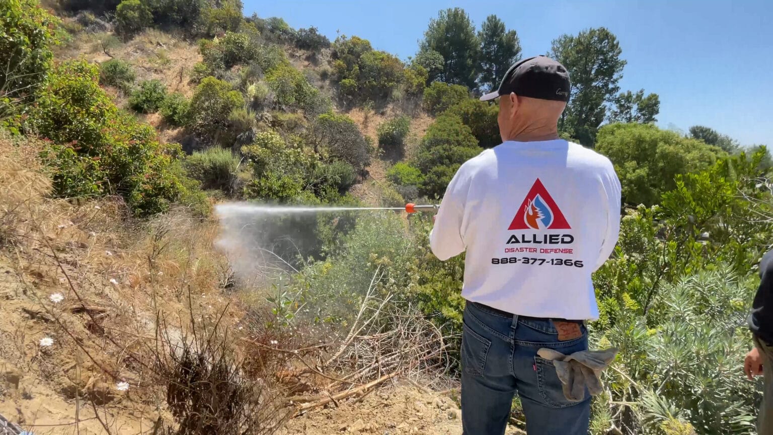 The Importance of Vegetation Management for Wildfire Protection ...