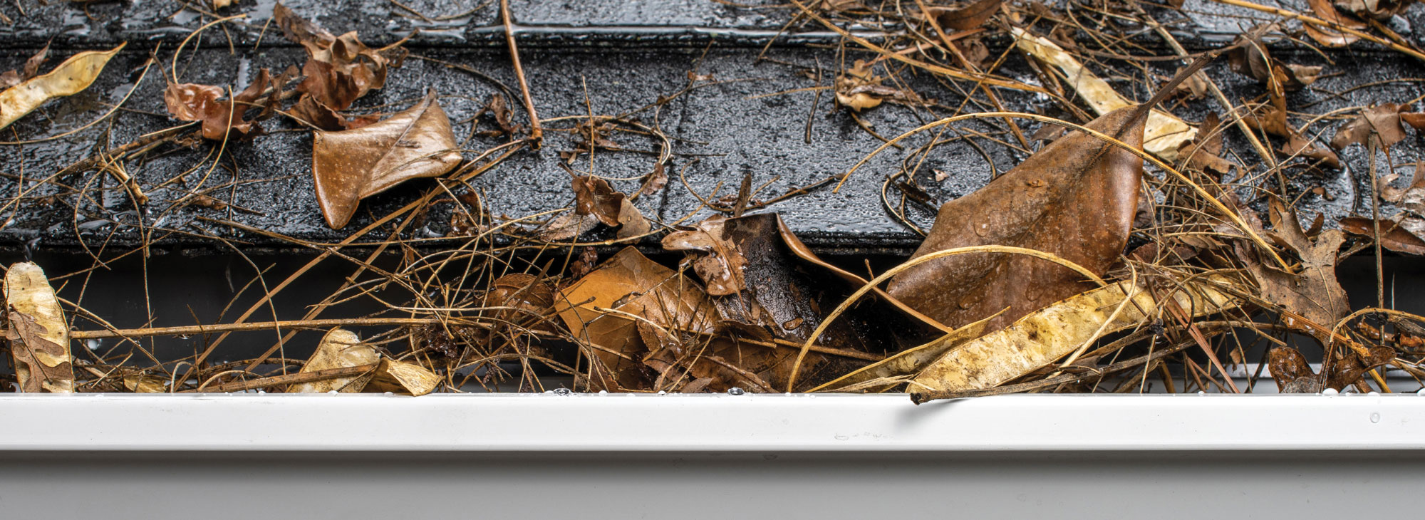 Gutter Guards: Preventing Wildfire Damage to Your Home - Allied ...